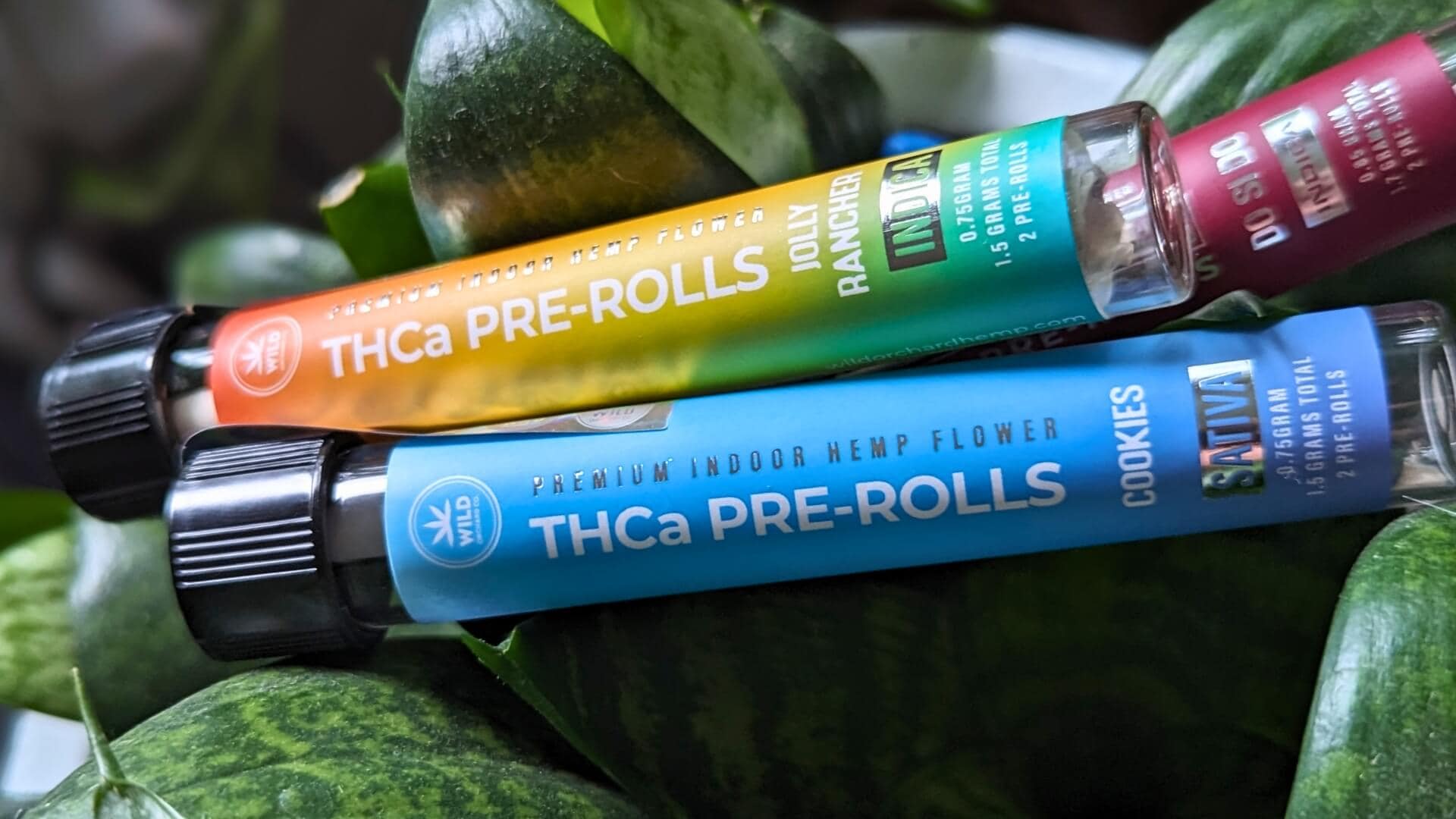 How to Choose the Right THCa Pre-Roll - Wild Orchard Hemp